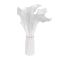 Packaging Supplies Melbourne | Australia Wide Delivery | Lowest Price