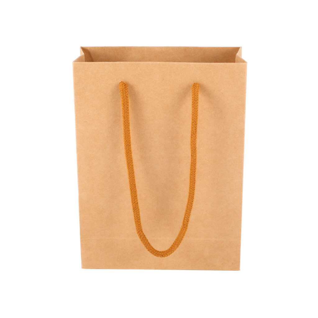 Paper Bags Wholesale Price | Kraft Brown Shopping Bags with Handles