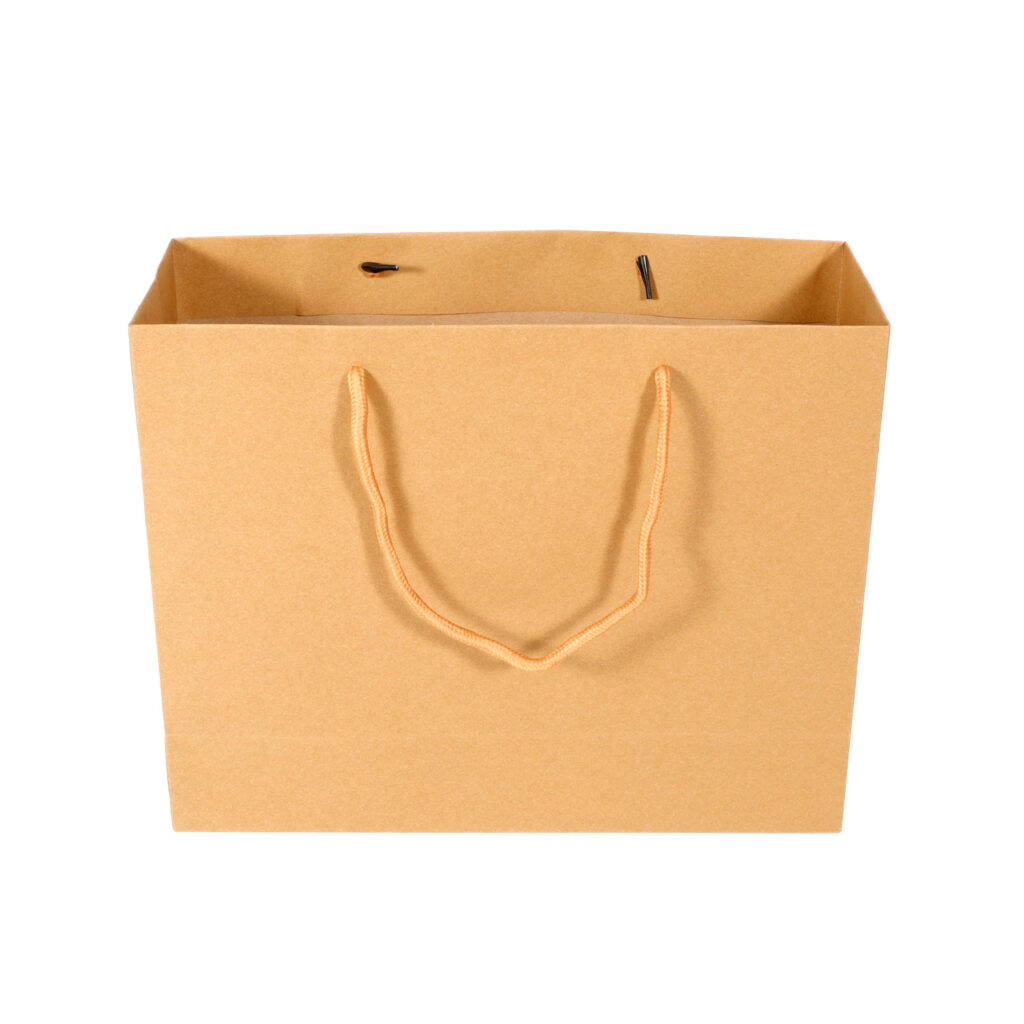 Paper Bags Wholesale Price | Kraft Brown Shopping Bags with Handles