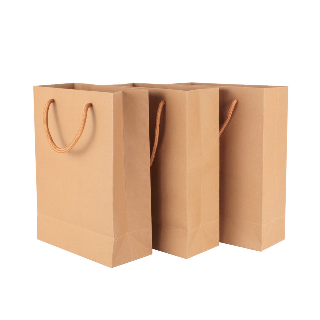 Paper Bags Wholesale Price | Kraft Brown Shopping Bags with Handles