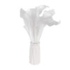 Packaging Supplies Melbourne | Australia Wide Delivery | Lowest Price