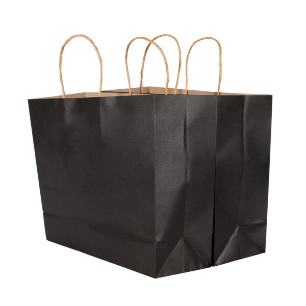 150pcs Black Paper Twisted handle Bag 320×260+110mm - Stanley Packaging